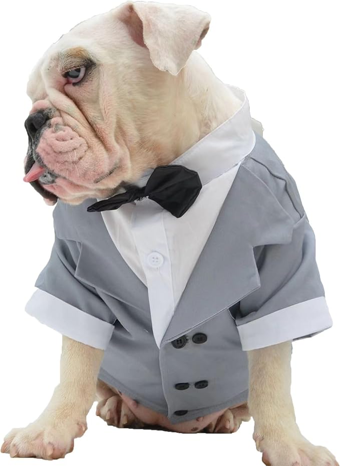 Amazon.com : Lovelonglong Bulldog Costume Dog Suit Formal Tuxedo with ...