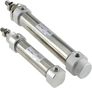 Amazon.com: LINGERZ SMC Type Pneumatic Air Cylinder Standard Type ...