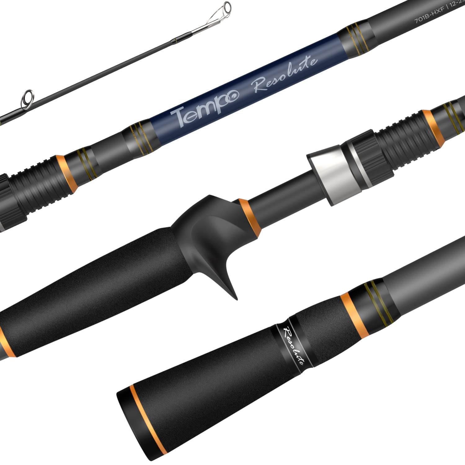 Snapklik.com : Tempo Resolute Baitcaster Rod, Ultralight Sensitive 2 ...