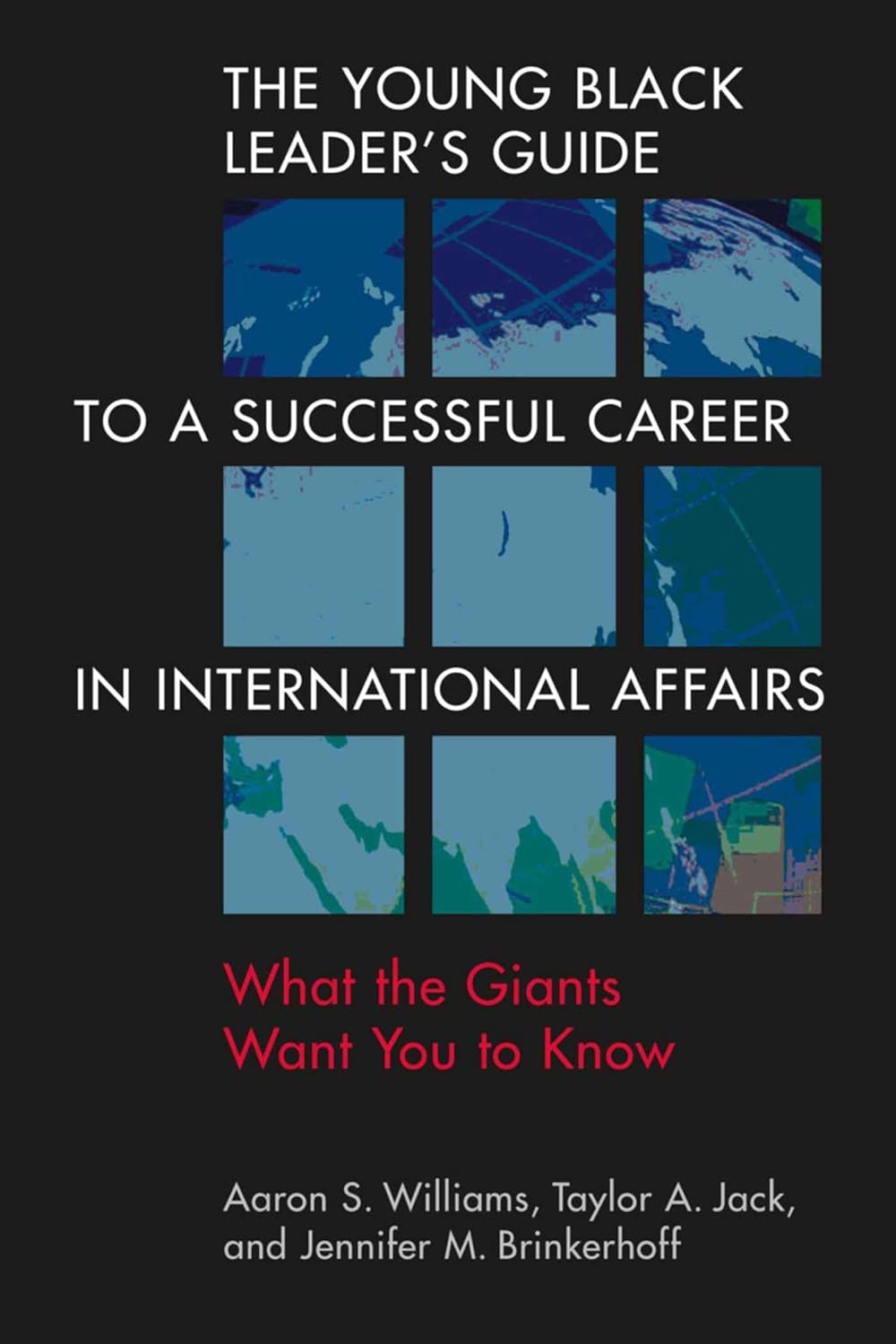 The Young Black Leader's Guide to a Successful Career in International ...