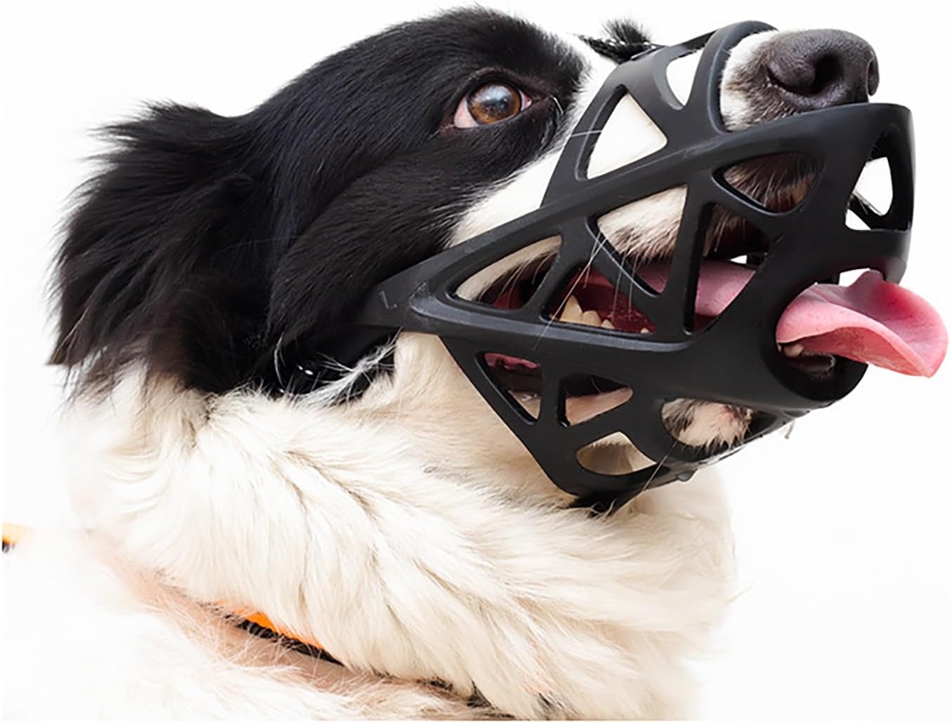 Amazon.com : Dog Muzzle, Adjustable Pet Mask with Reflective ...