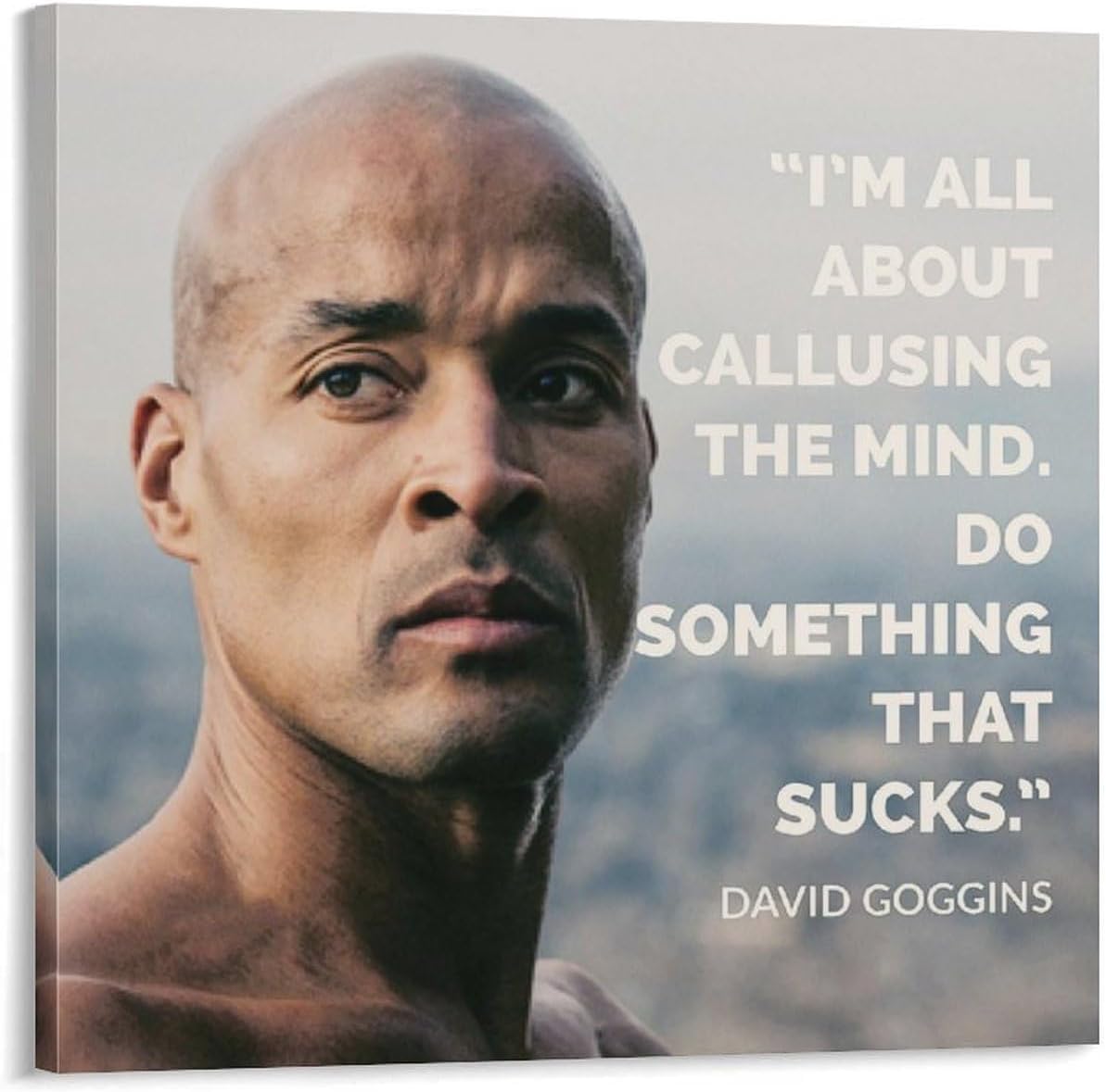 Amazon.com: David Goggins Inspirational Quotes Celebrity Inspirational ...