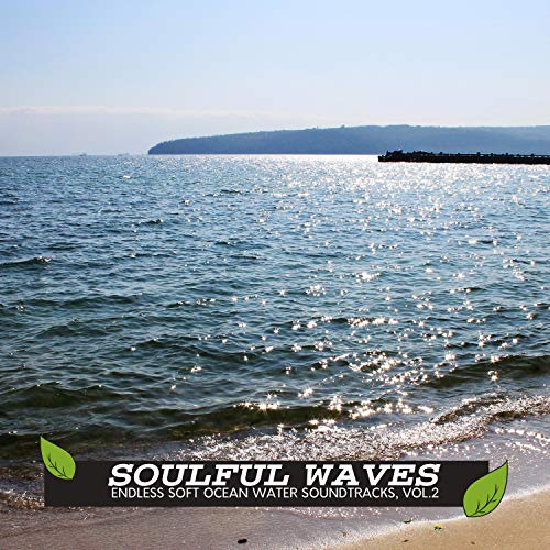 Amazon.com: Soulful Waves - Endless Soft Ocean Water Soundtracks, Vol.2 : VARIOUS ARTISTS ...