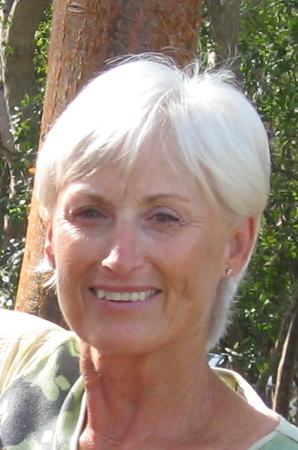 Amazon.in: Patti R. Zelch: books, biography, latest update