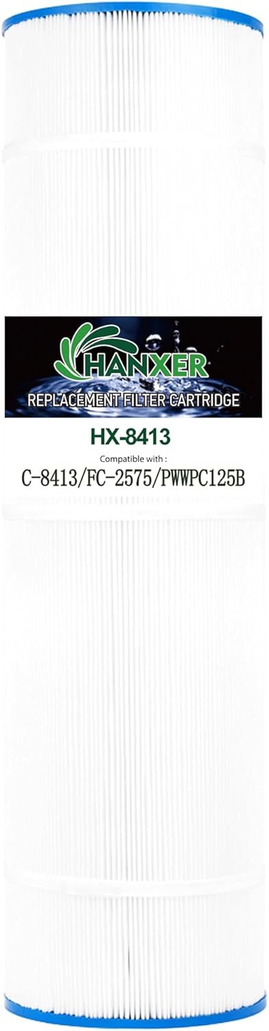 Amazon.com : HANXER Swimming Pool Filter Replaces for C-8413, Filbur FC ...