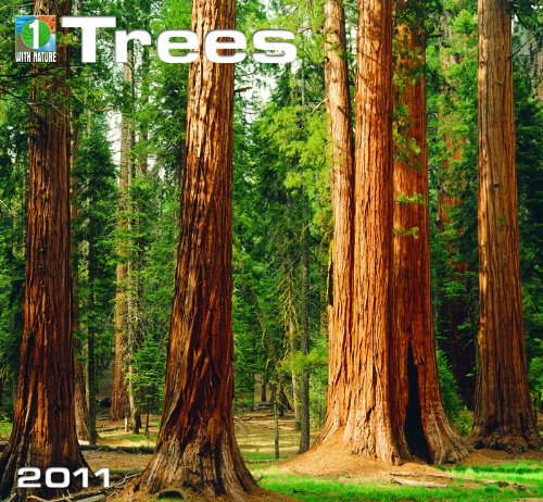 2011 Trees Calendar: Zebra Publishing Corp.: 9781554563586: Amazon.com ...