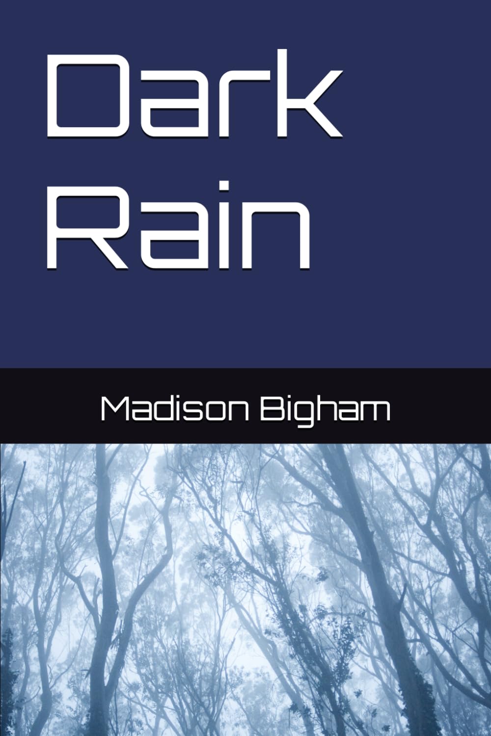 Amazon.com: Dark Rain: 9798860311893: Bigham, Madison: Books