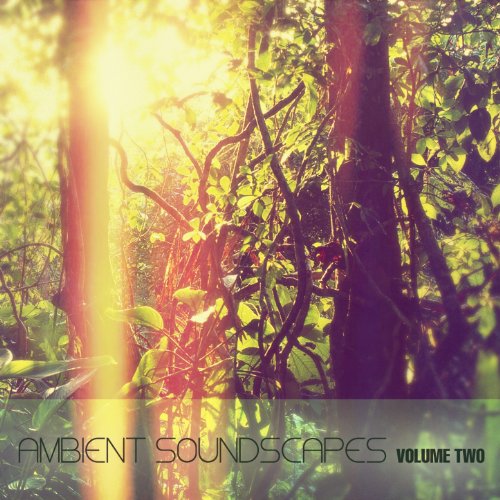 Play Ambient Soundscapes, Vol.2 by VARIOUS ARTISTS on Amazon Music