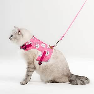 Pet Supplies : Patipatron Cat Harness and Leash Set, Cats Escape Proof ...