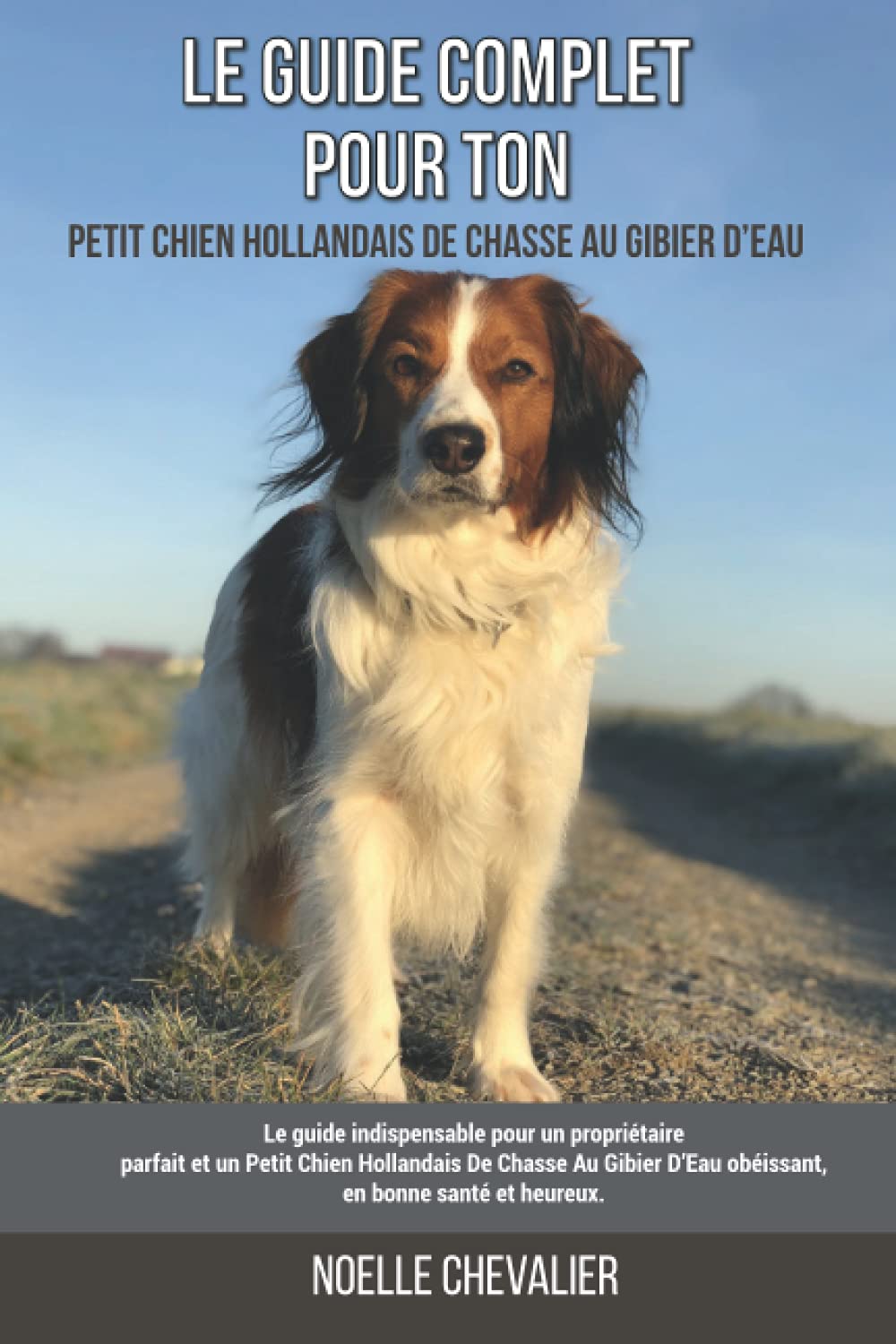 Le Guide Complet Pour Ton Petit Chien Hollandais De Chasse | Desertcart ...