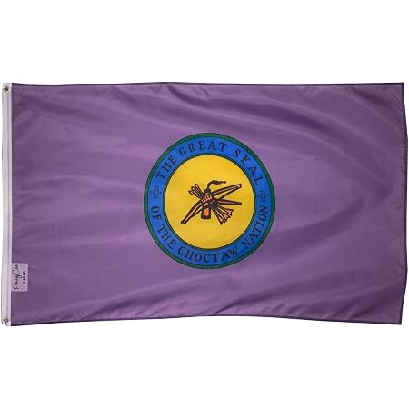Amazon.com : Great Seal Choctaw Nation Purple Large Flag Banner 3x5FT ...