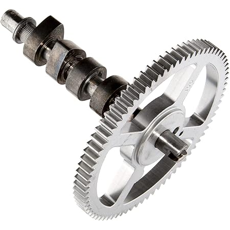 Amazon.com : Briggs & Stratton 795697 Camshaft Replaces 790958/790496 ...