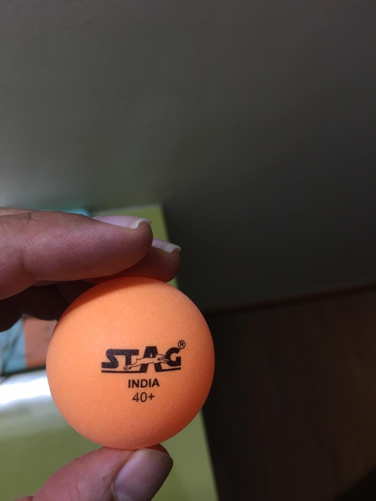 Buy Stag Tournament Table Tennis Kit Online at Low Prices in India ...