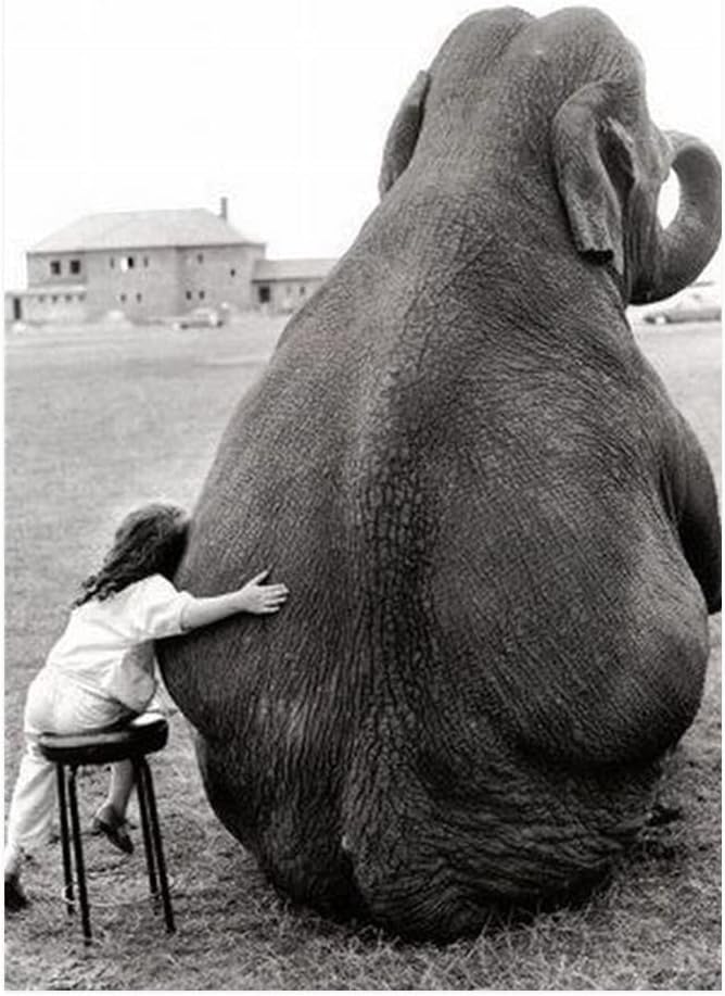 Amazon.com: Canvas Wall Art Girl Hugging Elephant Canvas Print Artwork ...