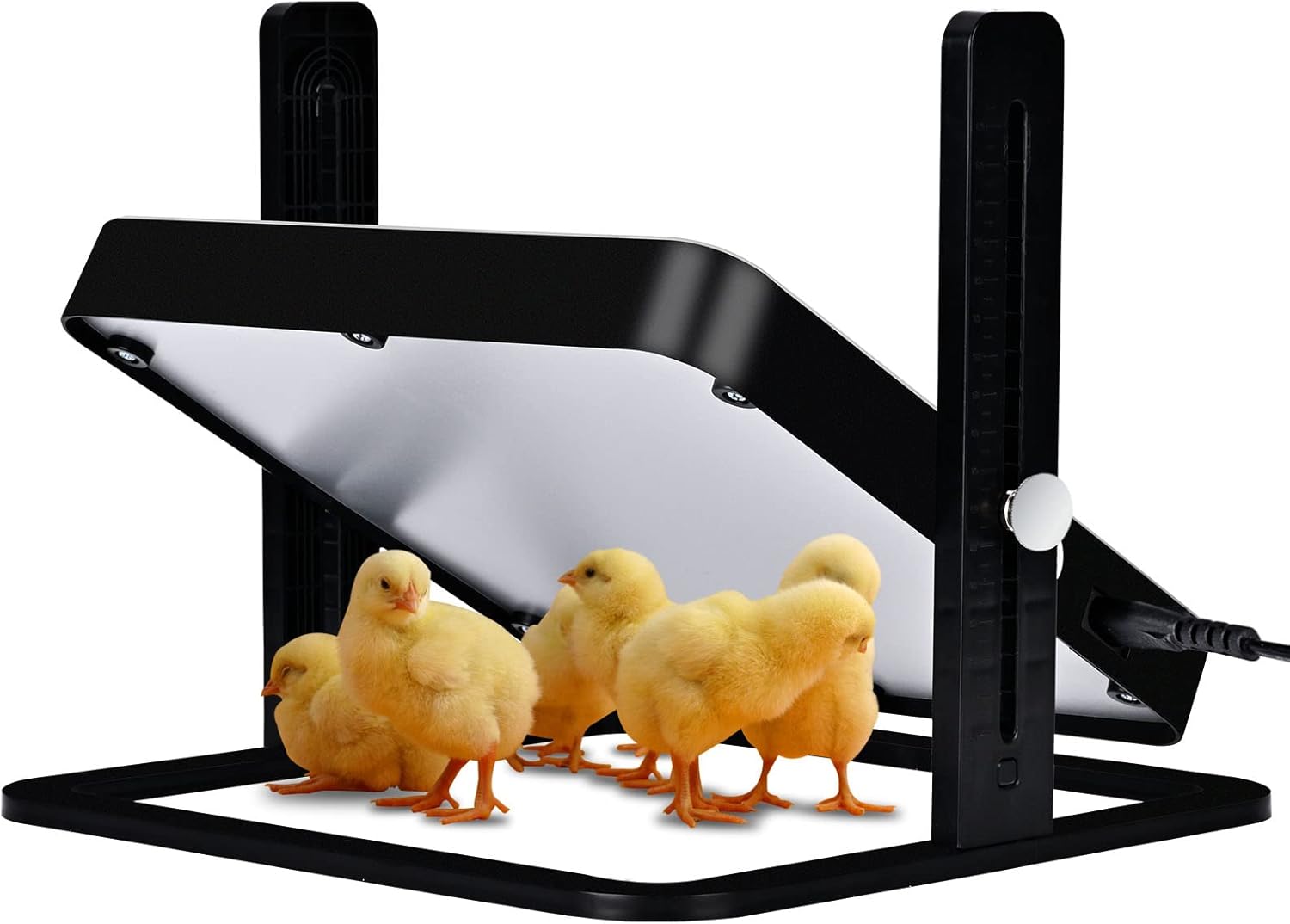 Amazon.com: JORUGUNA Chicken Brooder Heater Thermo Poultry Brooder ...