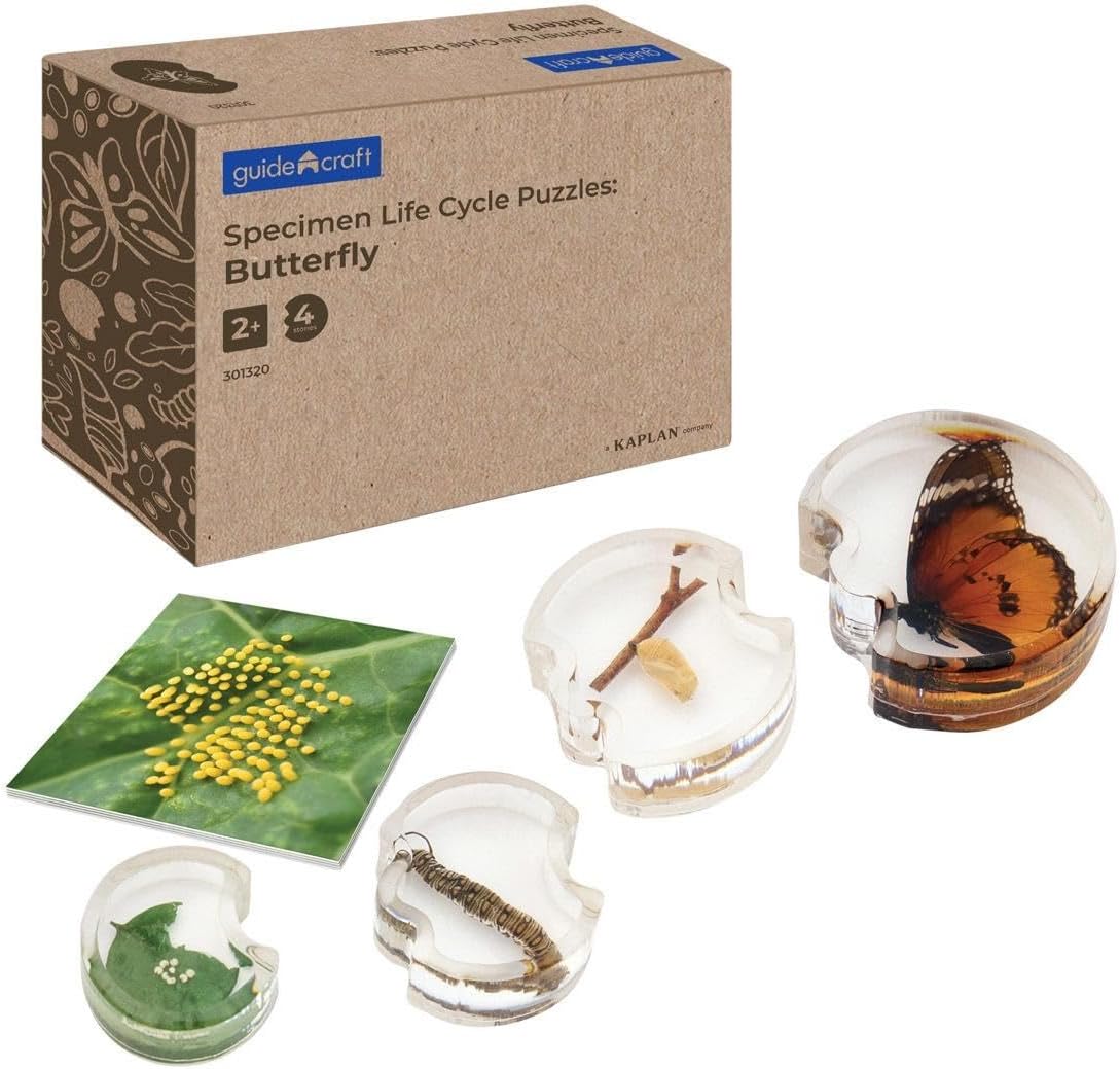 Amazon.com: Kaplan Early Learning Specimen Life Cycle Puzzle ...
