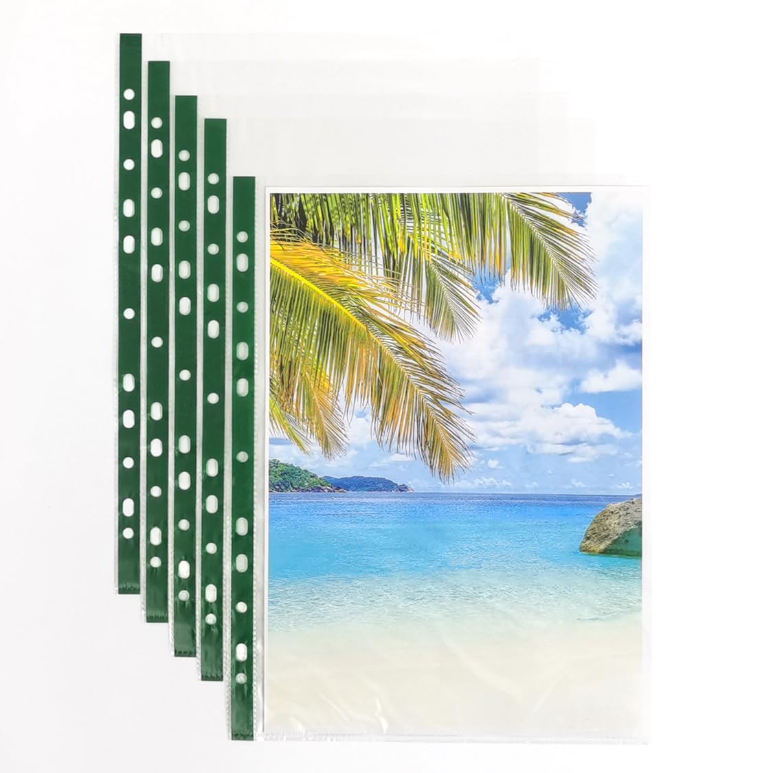 Noti Plastic Wallets A4, Standard Glass Clear Punched Polly Pocket ...