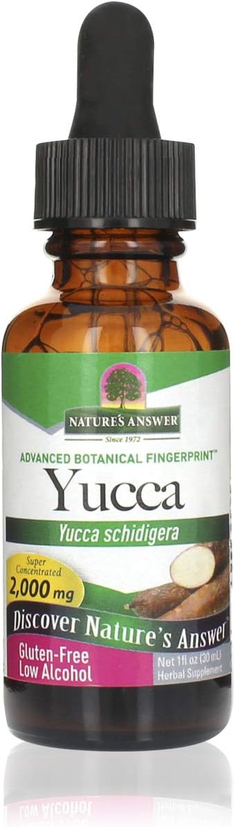Amazon.com: Prescribed For Life Yucca Powder | Natural Yucca Root ...
