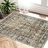 Amazon.com: PureCozy Brown Entryway Rug 2x3 Vintage Area Carpet Indoor ...