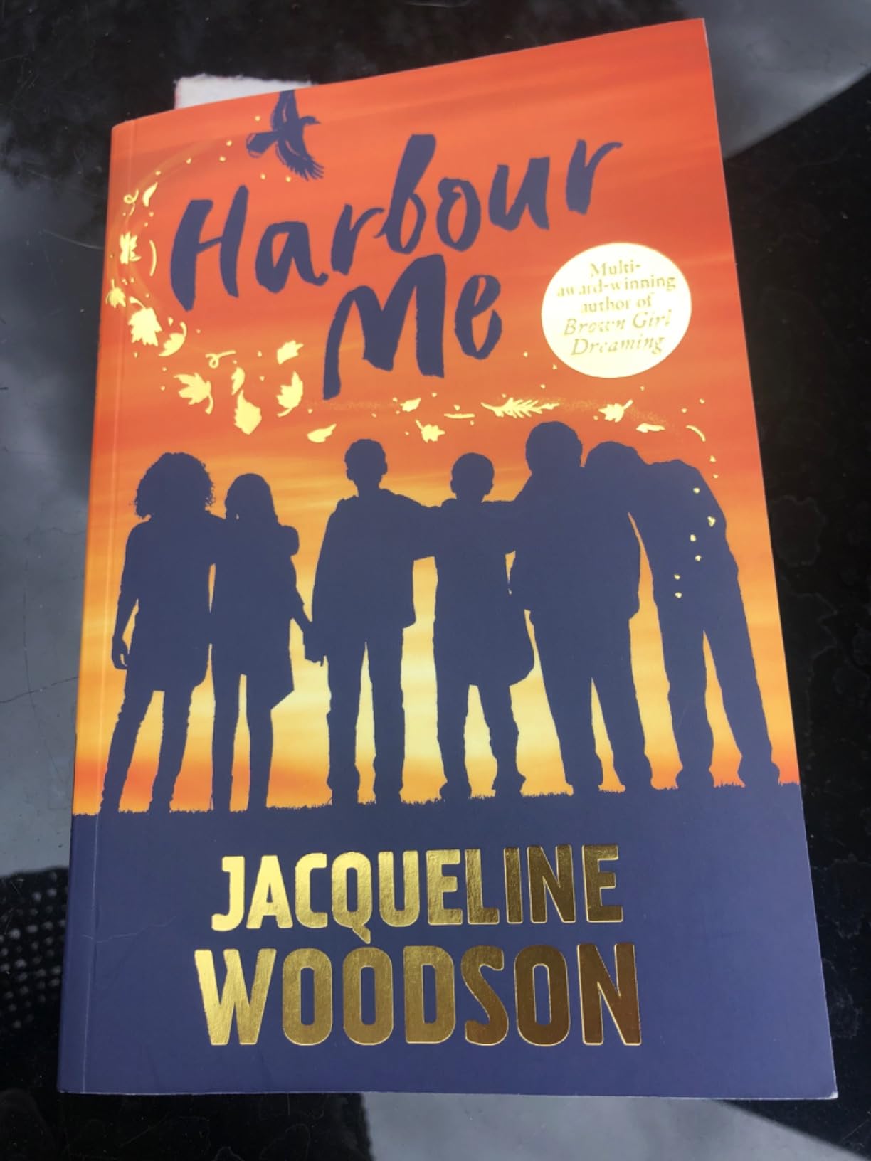 Harbour Me : Woodson, Jacqueline: Amazon.co.uk: Books