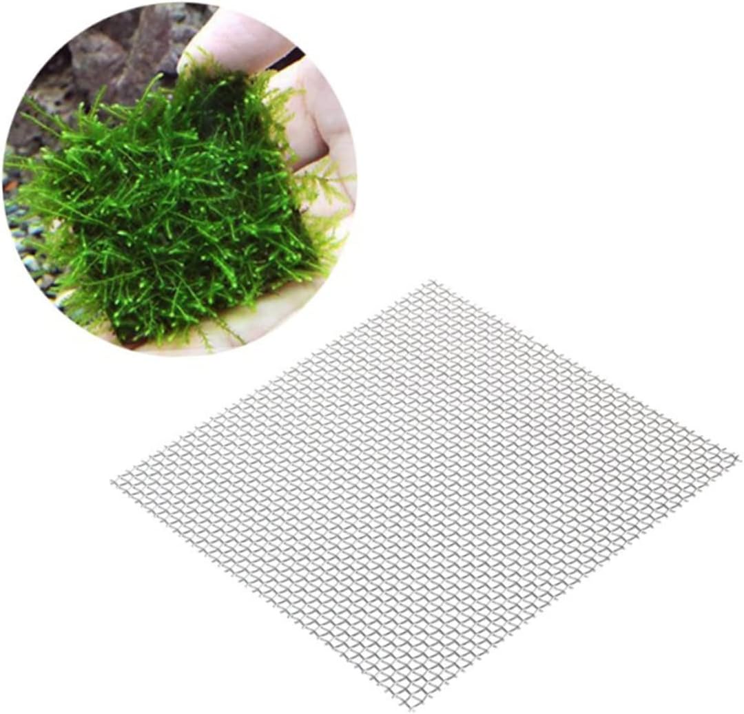 BUGUUYO 10 Pcs 304 Live Aquarium Moss Aquarium Java Moss Live Java Moss ...