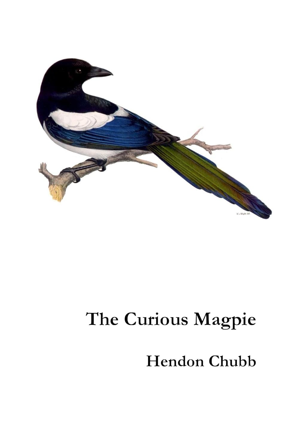 Amazon.com: The Curious Magpie eBook : Chubb, Hendon: Kindle Store
