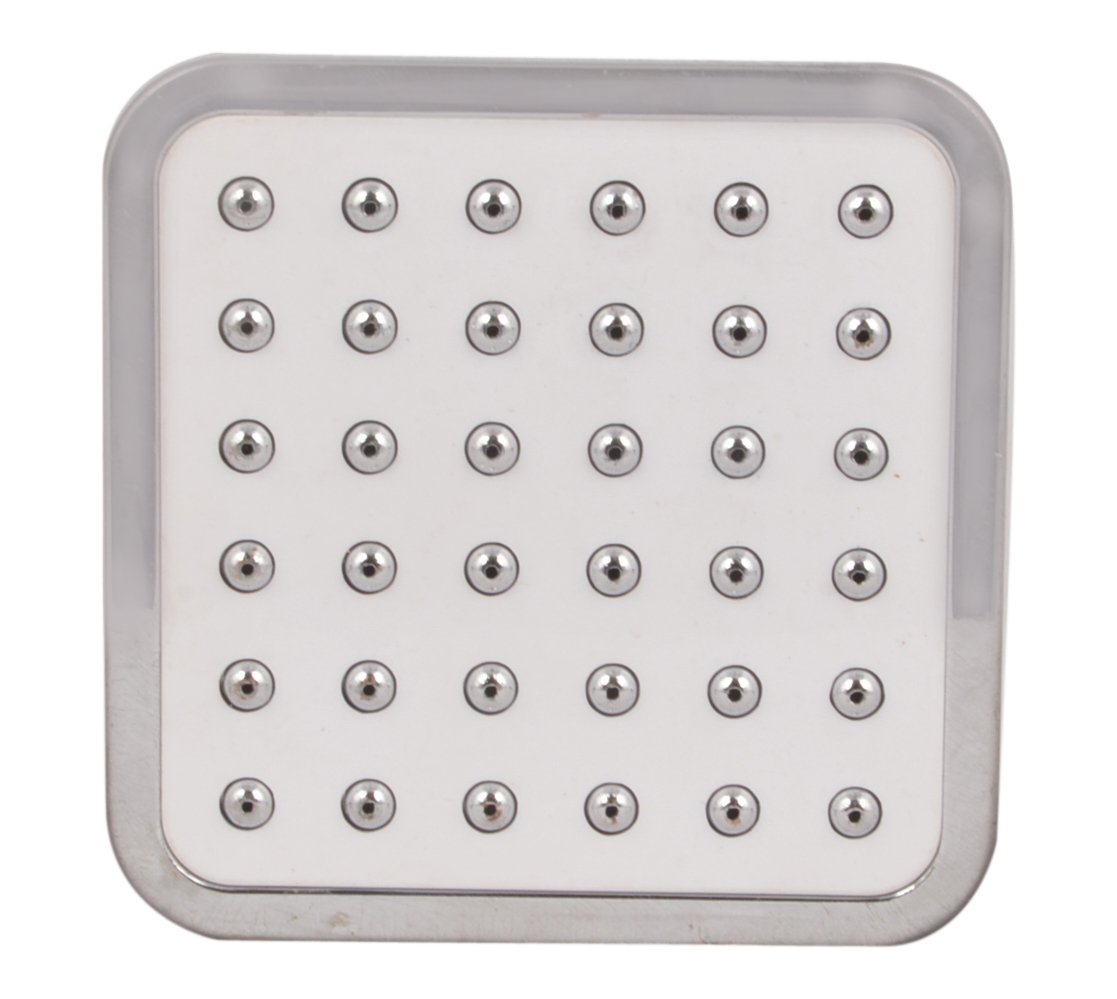 C.P Bath Fitting Stainless Steel Shower (Silver, 1) : Amazon.in: Home ...