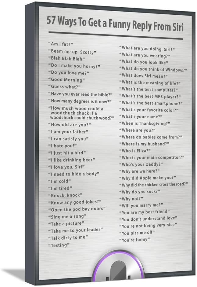Amazon.com: ArtEdge Ways to Get a Funny Reply from Siri Humor Stretched ...