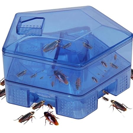 Dxent Cockroaches Trap and Killer Plus Large Repeller No Pollute No ...