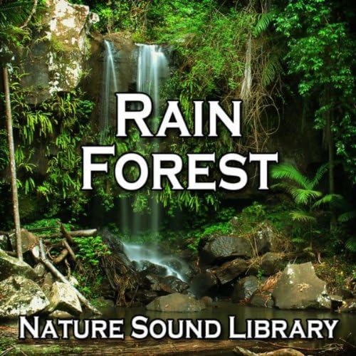 Amazon.com: Rain Forest (Nature Sounds for Deep Sleep, Relaxation ...