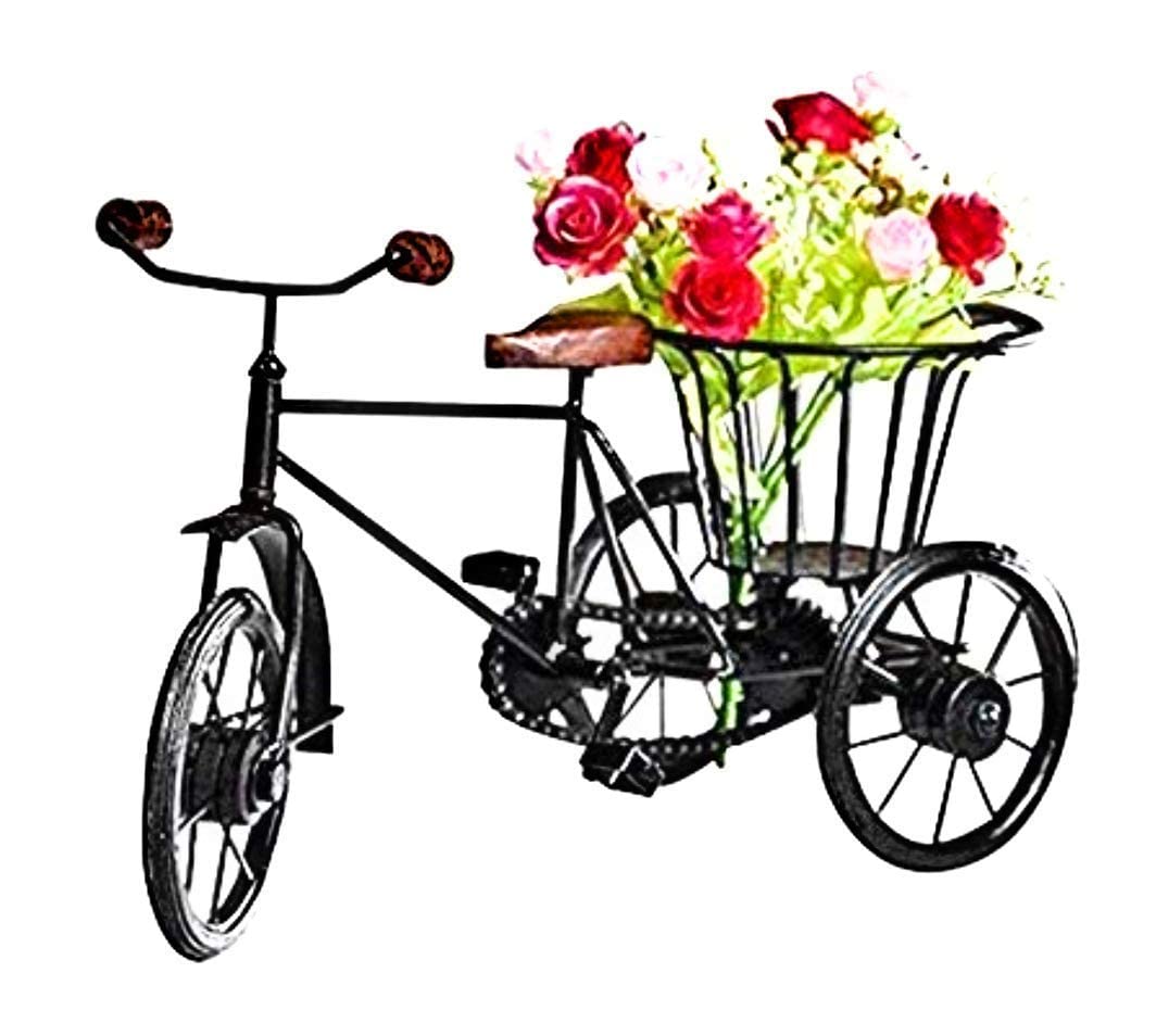 Satu Wooden Toy Flower Metal Cycle Rickshaw Flower Vase Toy Decorative ...