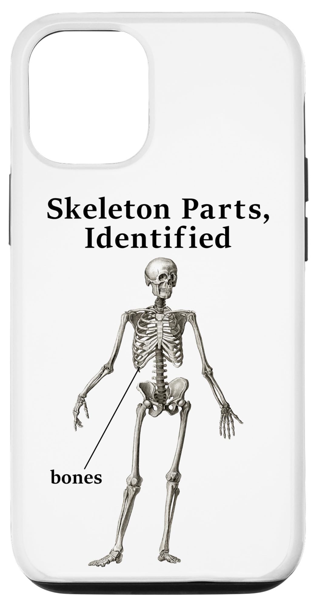 Funny Bones Memes Skeleton Looks Out The Window Meme Maker — Kapwing