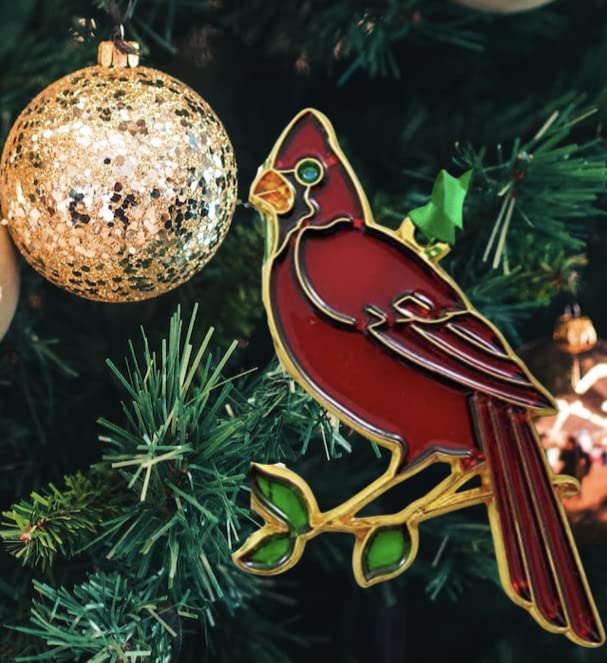 Leyenda Del Cardenal De Navidad