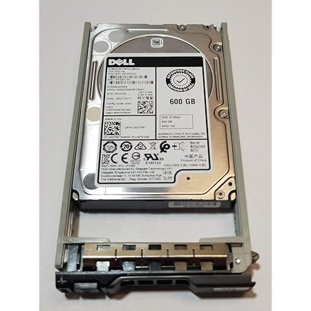 Amazon.com: Seagate 600GB HDD 10K RPM 2.5" 12Gb/s SAS Hard Disk Drive ...
