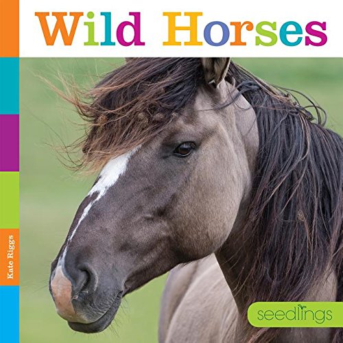 Wild Horses (Seedlings): Riggs, Kate: 9781608188703: Amazon.com: Books