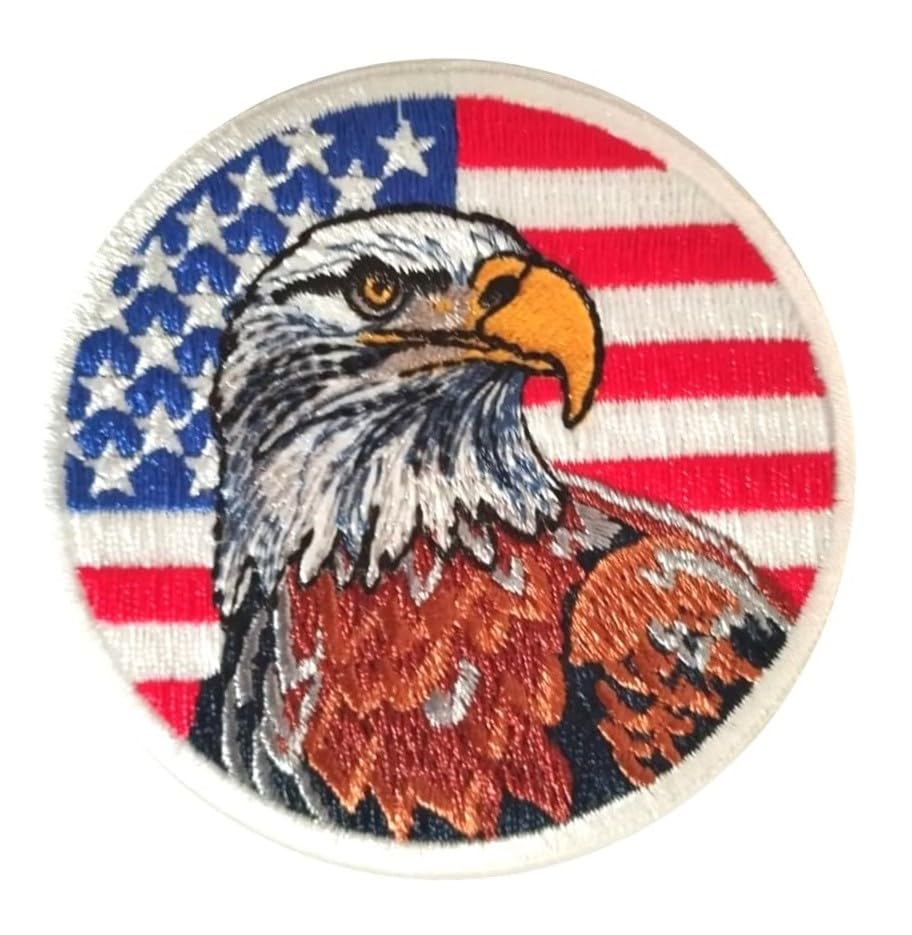 Amazon.com: Bald Eagle Patch, American Eagle US Flag, 3 inches ...
