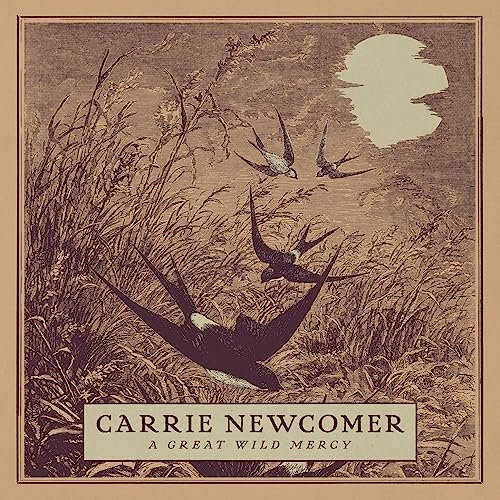 Amazon.com: A Great Wild Mercy : Carrie Newcomer: Digital Music