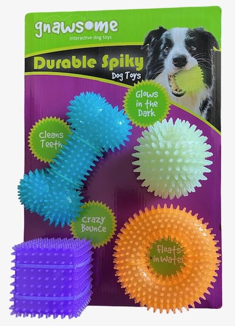 Buy Gnawsome Durable Spiky Dog Toys, 4 pk Online at Low Prices in India ...