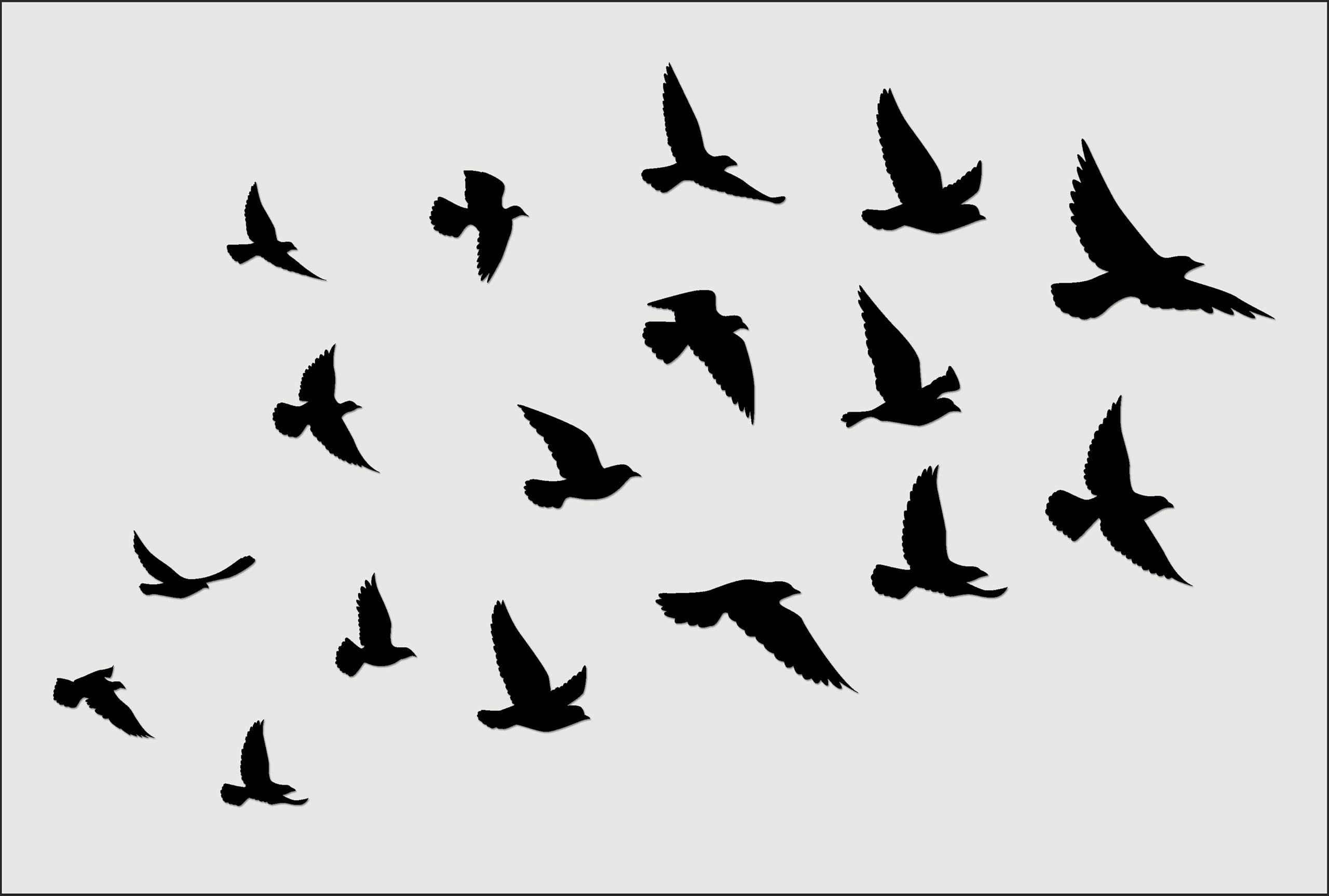 Bird Stencils Series1, Large Format Wall Art Painting Stencil, Reusable ...