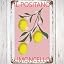 Geroclonup Metal Tin Sign Vintage Lemon IL Positano Limoncello, Wall ...