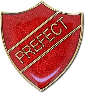 Amazon.com: 1000 Flags Prefect Pin Badge for High School or College in ...