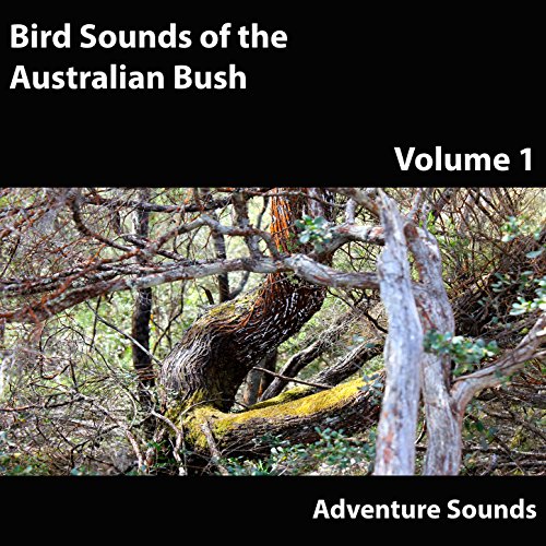 Play Bird Sounds of the Australian Bush, Vol. 1 by Adventure Sounds on ...