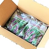 ・ブランド:養本社・製造元:養本社・ヘアリーベッチはマメ科の緑肥作物で、耐寒・耐雪性に優れており、越冬が可能な越年草です。秋または早春に播種し、春先から急生長し全面被覆します。 被覆力がとても強く、加えて他の雑草の生長を抑制する作用(アレロ...