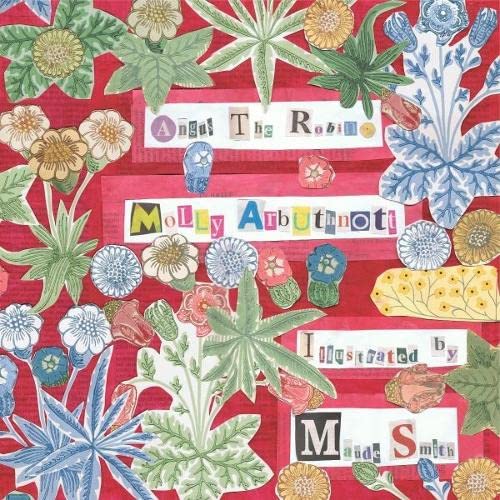 Angus the Robin: Molly Arbuthnott: 9781912535729: Amazon.com: Books