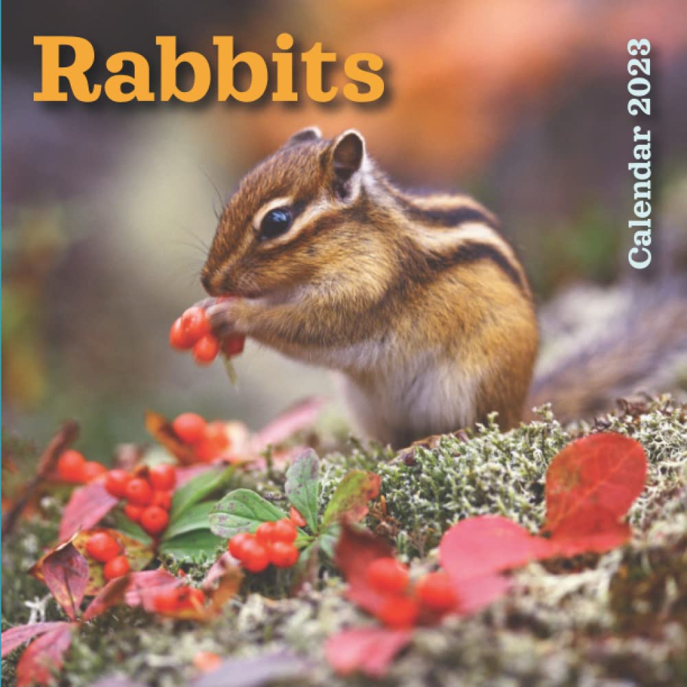Buy Rabbits Calendar 2023 18 Month Rabbits Calendar 2023 July 2022 buy-rabbits-calendar-2023-18-month-rabbits-calendar-2023-july-2022