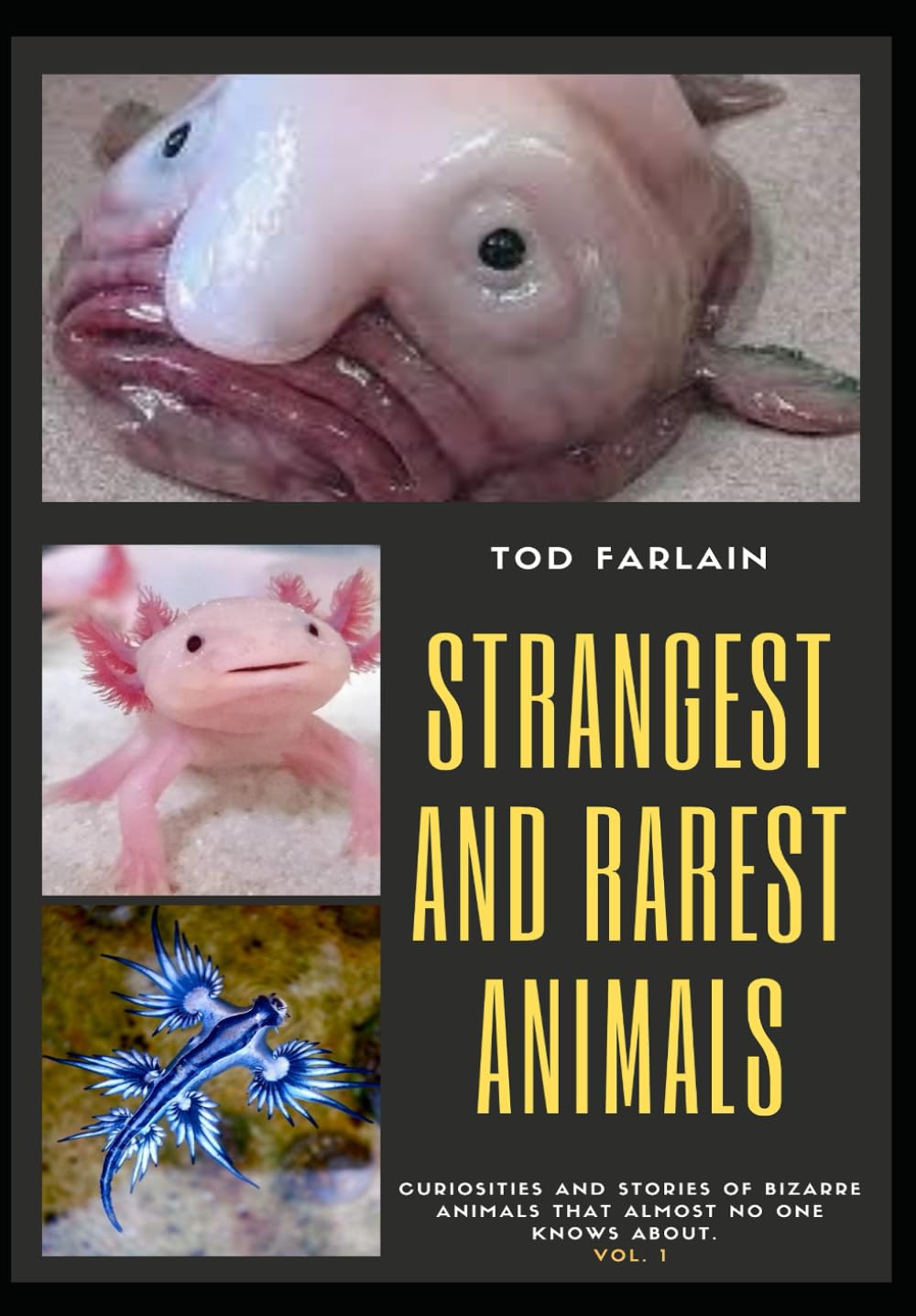 Unknown Animals In The World 28 Weird And Unusual Animals You Never