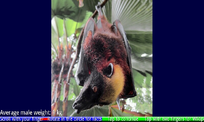 How Heavy Am I? 1 - App on Amazon Appstore