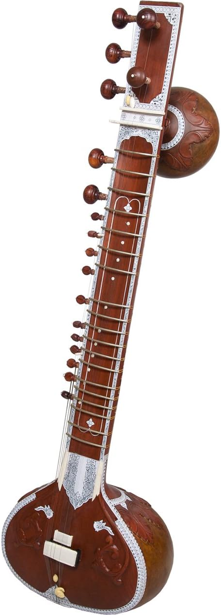 Amazon.com: Sitar, Standard, Light Padded Nylon Case : Musical Instruments