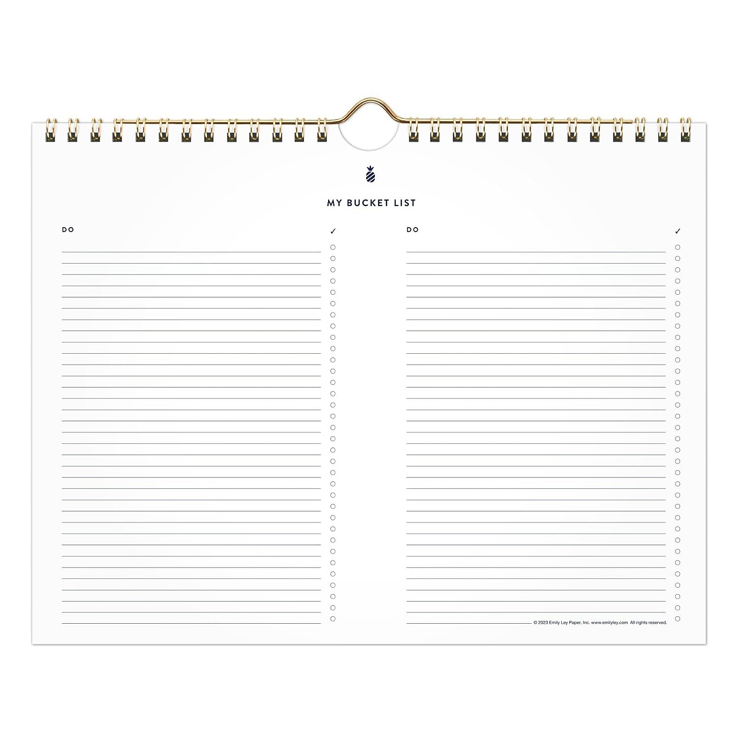 Snapklik.com : 2025 Simplified By Emily Ley For AT-A-GLANCE Monthly ...