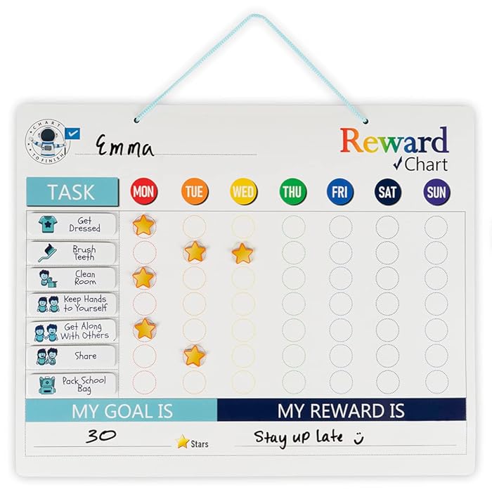 Buy Chore Chart - Magnetic Chore Chart Attaches to Magnetic Surface or ...